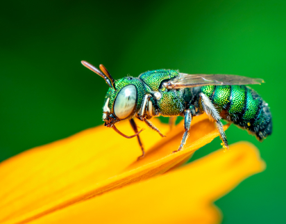 Magio TV Štart - Telekom
